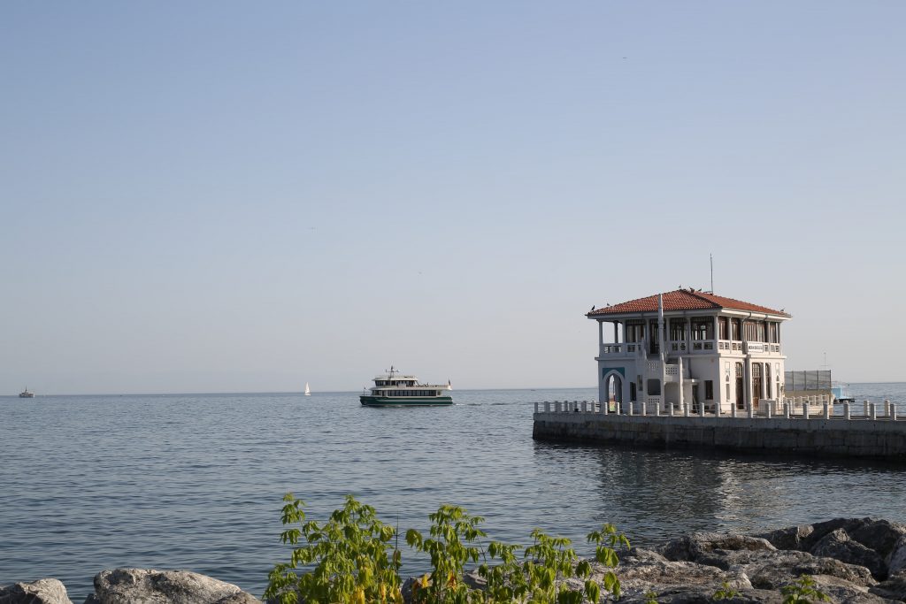 PTH Gallery - Perfect Timing Holding